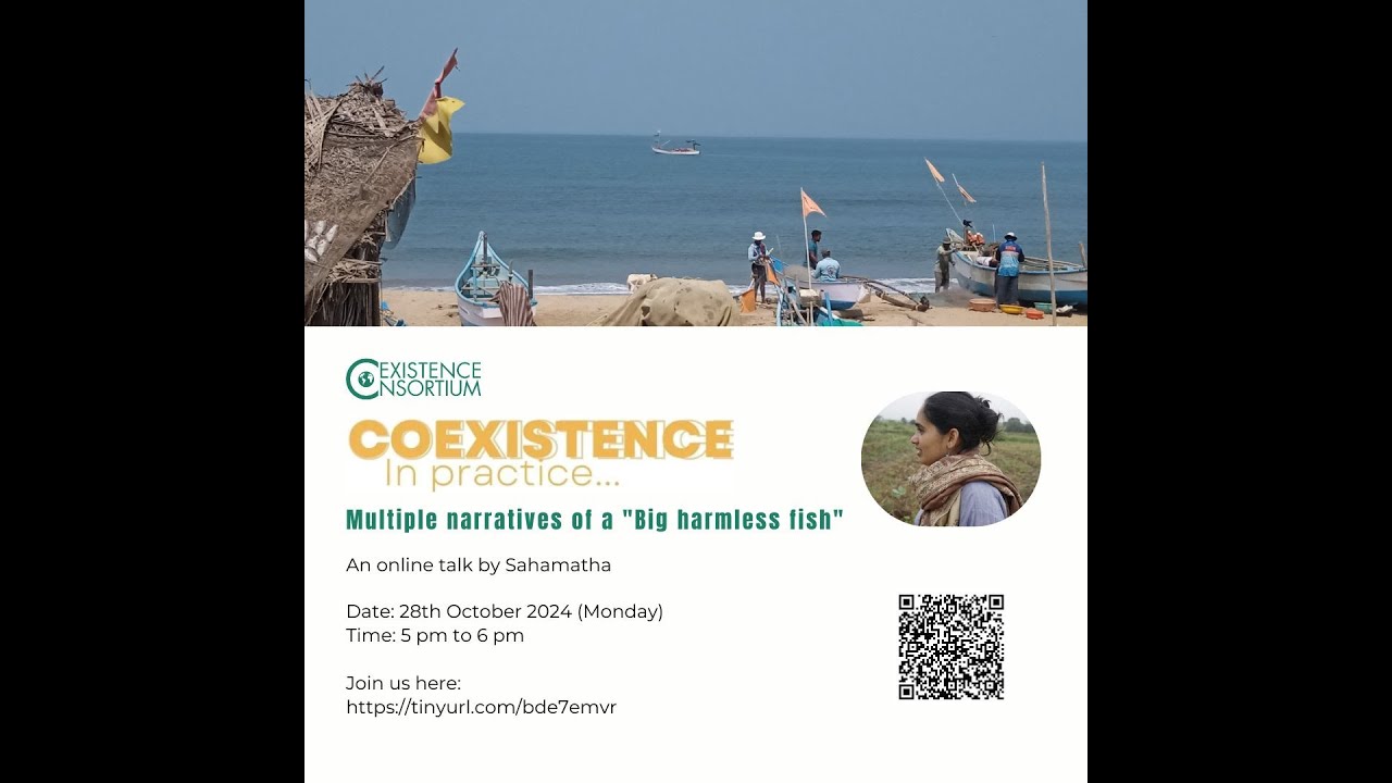Multiple narratives of a "Big harmless fish" - By Sahamatha - YouTube