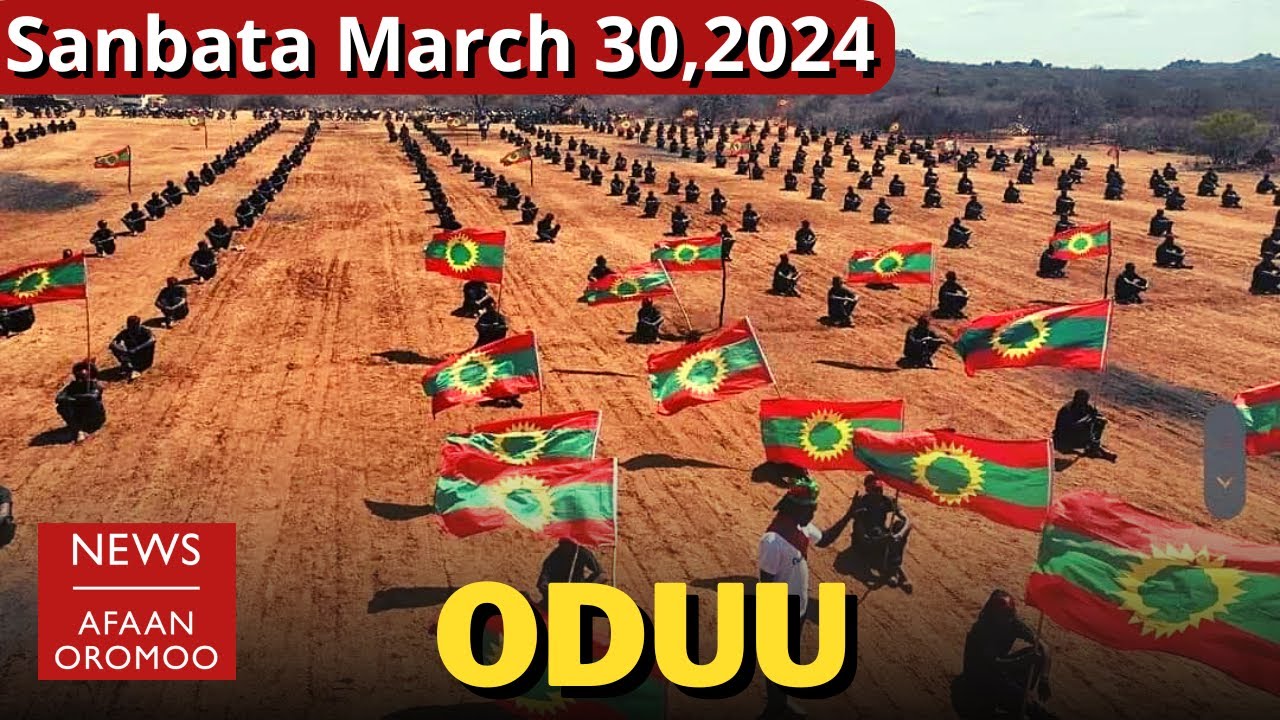 ODUU AFAAN OROMOO | Sanbata March 30,2024 | Oromo News | Daily Ethiopia ...