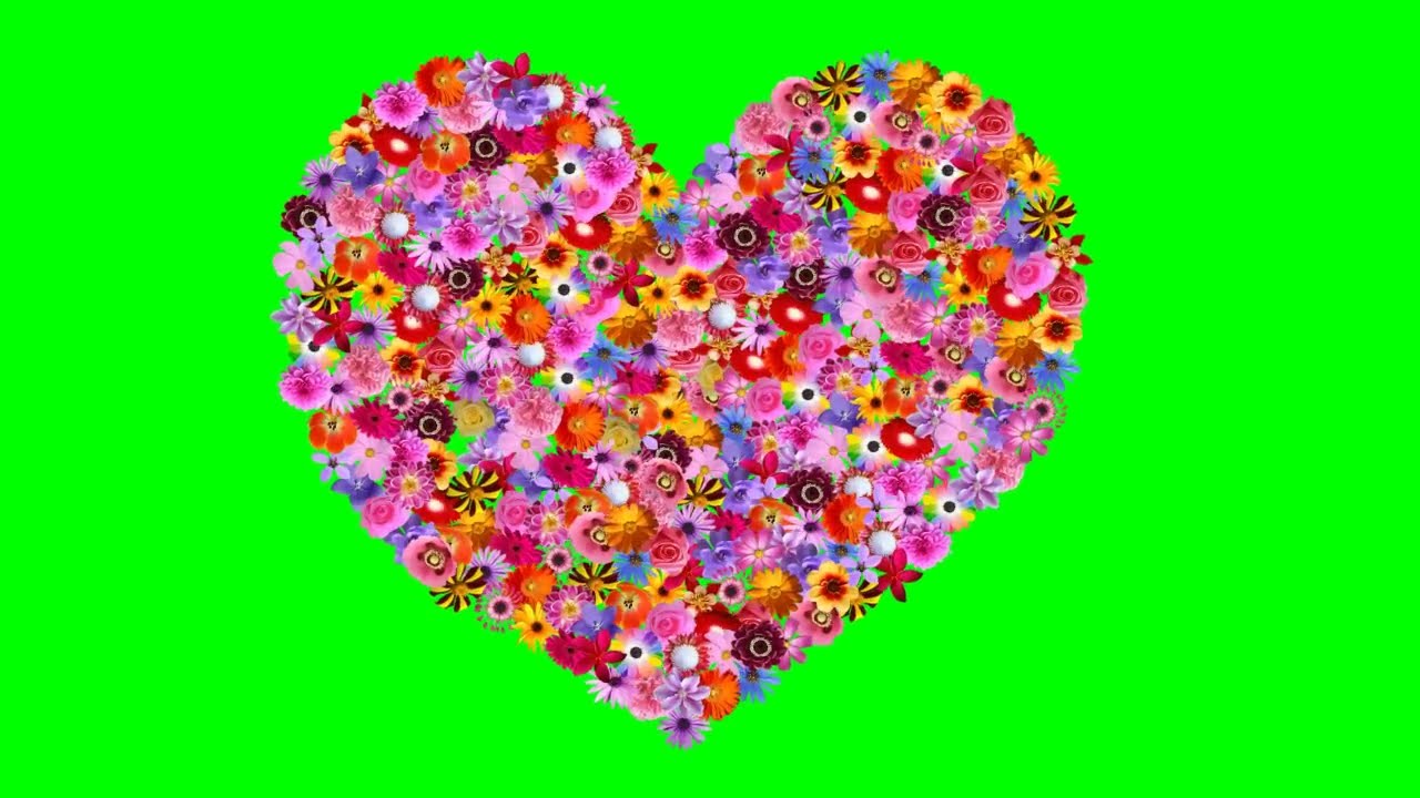 Love Heart Formation with Cute Flowers GreenScreen Animation HD - YouTube
