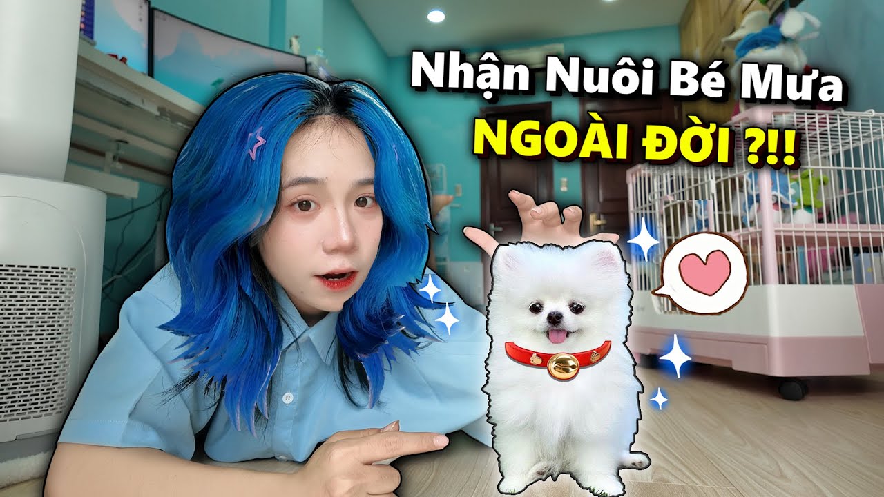 Mèo Simmy 24H Nhận Nuôi BÉ MƯA Ngoài Đời Thực !! - YouTube