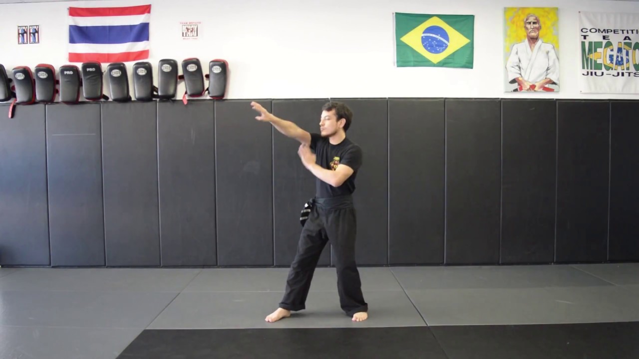 Biu Jee - Integrative Wing Chun Phoenix - YouTube