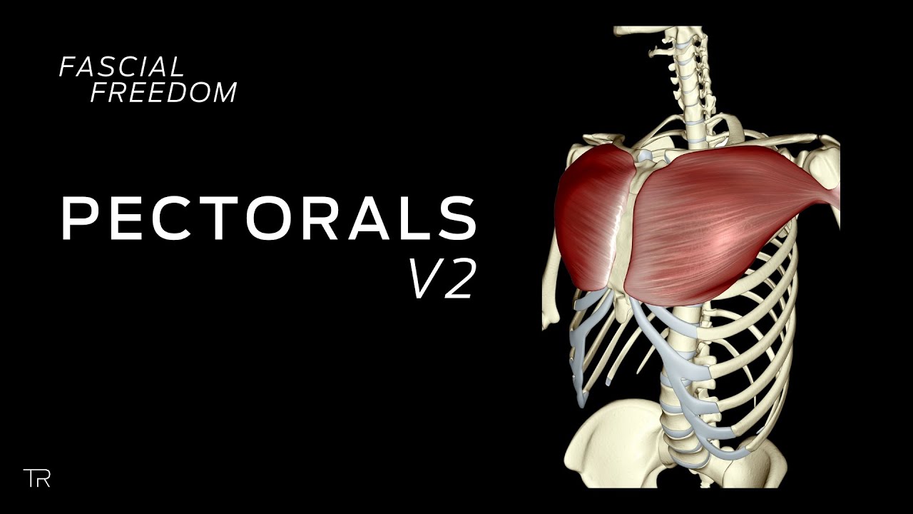 Pectorals V2 Fascial Freedom Tutorial - YouTube