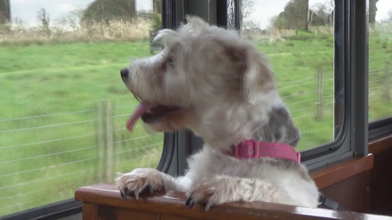 Ravenglass Cumbria & Laal Ratty train journey - 1080p - YouTube