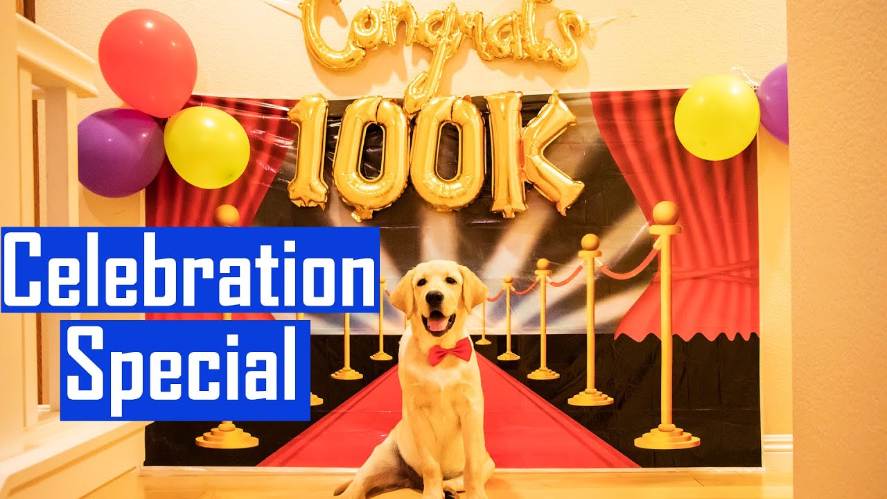 100K Special: Watching Subscribers Count Reaching 100K LIVE (And Cake ...