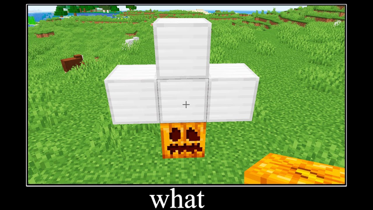 minecraft wait what meme - YouTube