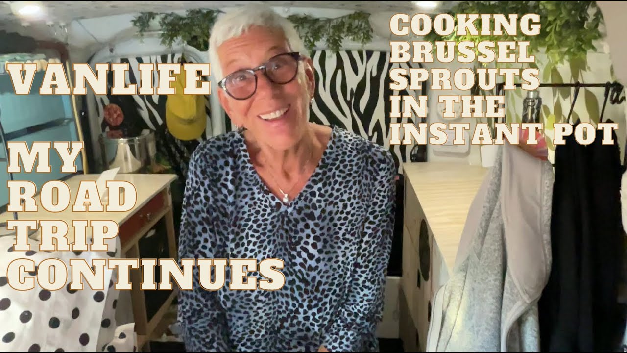 VANLIFE ROADTRIP FROM MA TO IA - COOKING ON THE ROAD - YouTube