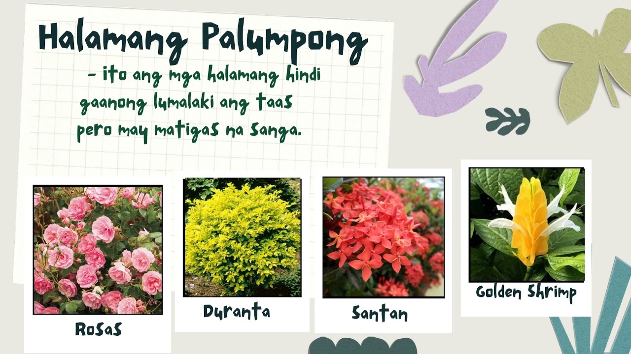 Scrapbook sa Halamang Ornamental - YouTube