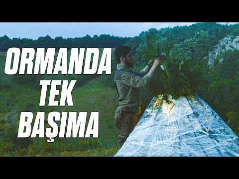 Ormanda Tek Başıma \