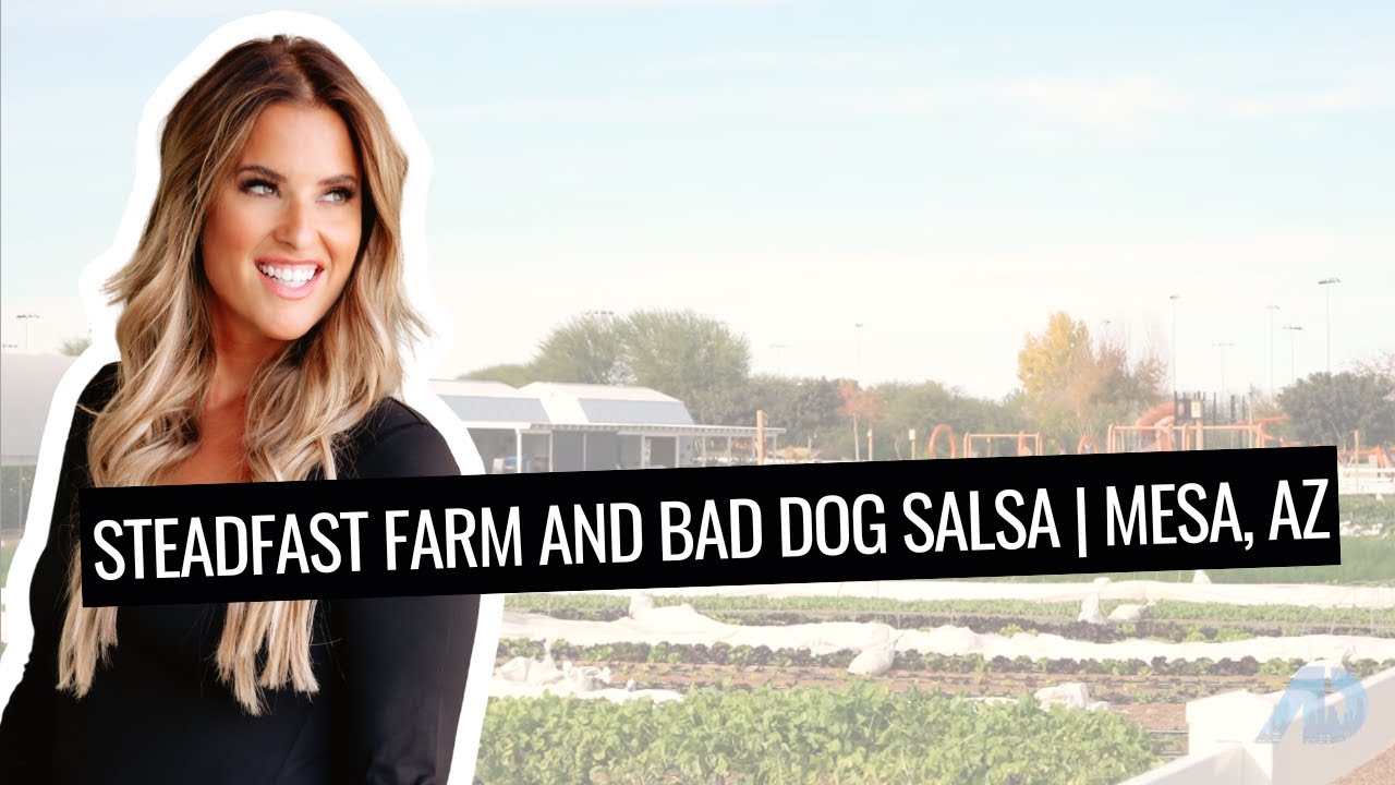 Steadfast Farm and Bad Dog Salsa | Mesa, AZ - YouTube