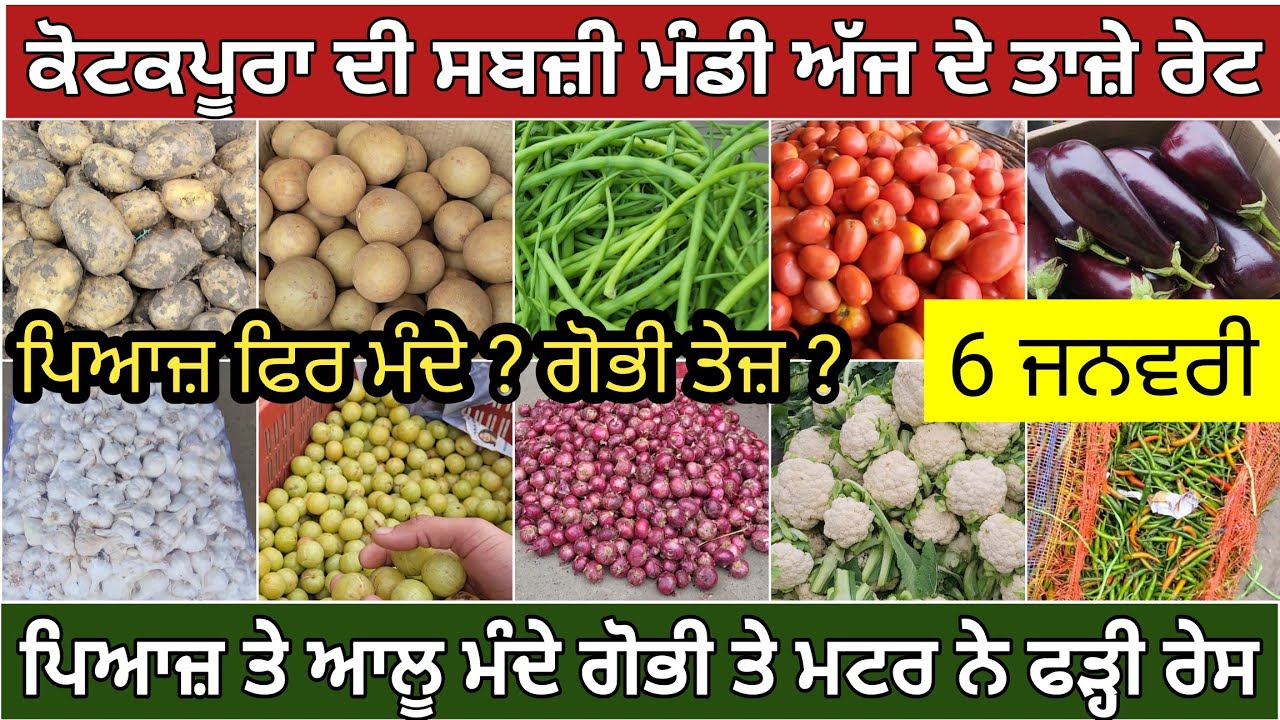 ਅੱਜ ਪਿਆਜ਼ ਤੇ ਆਲੂ ਚ ਮੰਦੀ। ਗੋਭੀ ਤੇ ਮਟਰ ਨੇ ਦੁਬਾਰਾ ਫੜ੍ਹੀ ਰੇਸ। Kotkapura ...
