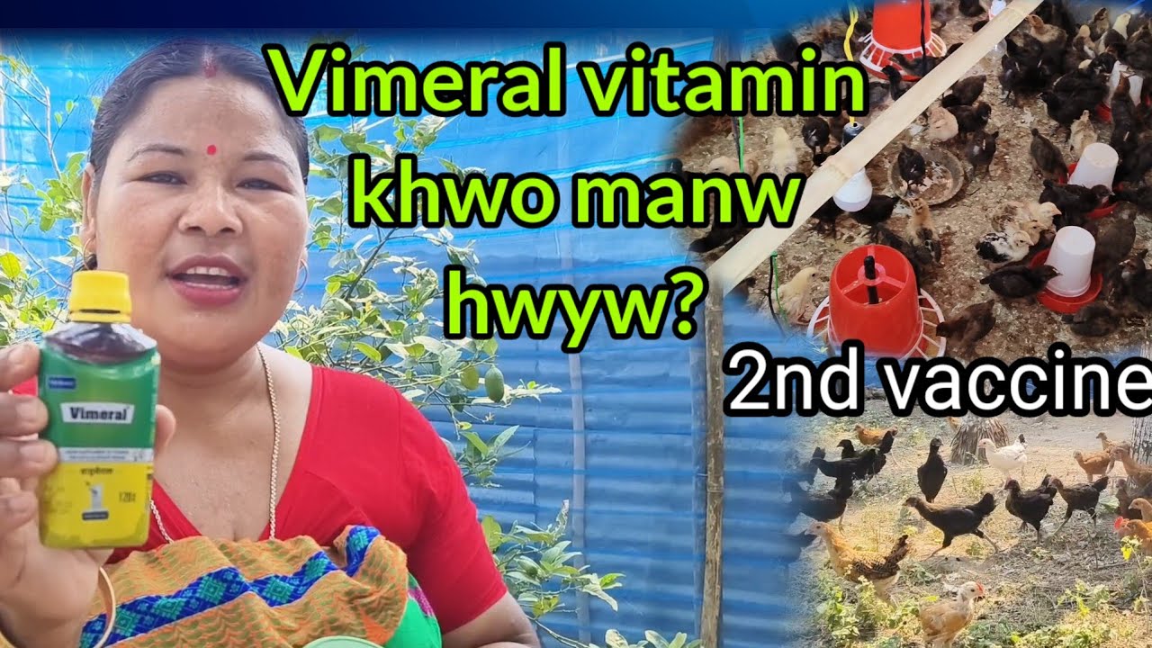 Dao ficha khwo jwthwn lanai// Ringkhang Baro Vlog 🙏🙏🙏//. - YouTube