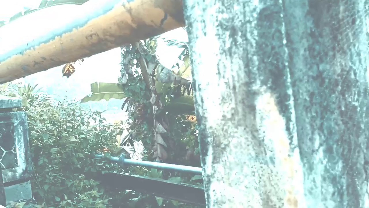 Cinematic video | shot on OPPO F9