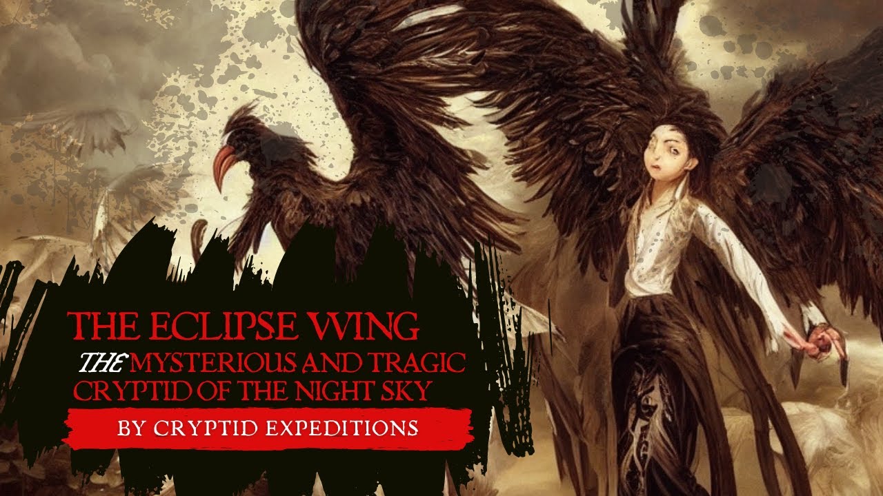 The Mysterious Eclipse Wing: A Cryptid with a Tragic Tale - YouTube