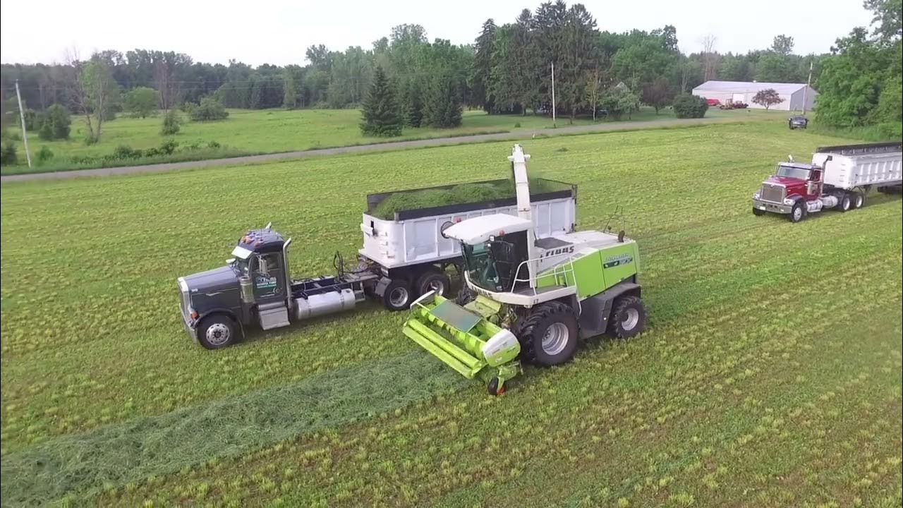 Mowing and chopping 2nd cutting hay in WNY - YouTube