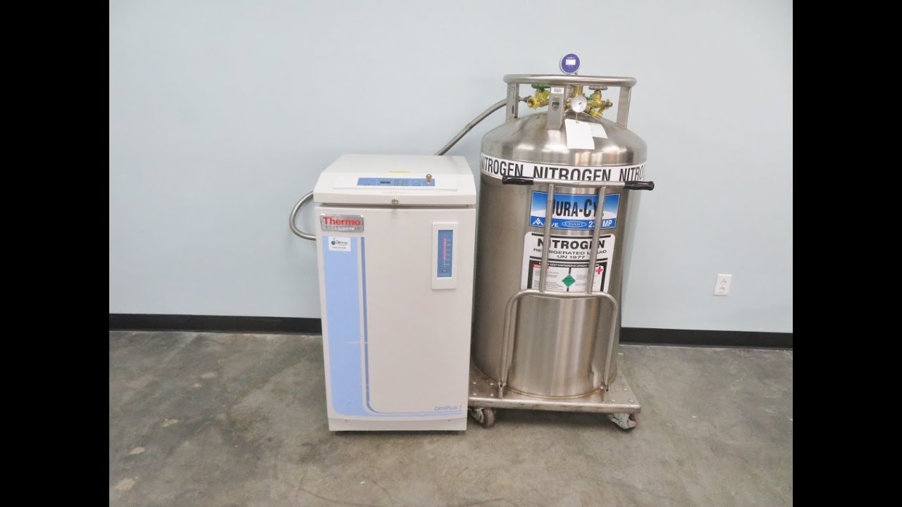 Thermo Scientific Cryoplus 1 Liquid Nitrogen Storage for Sale - YouTube