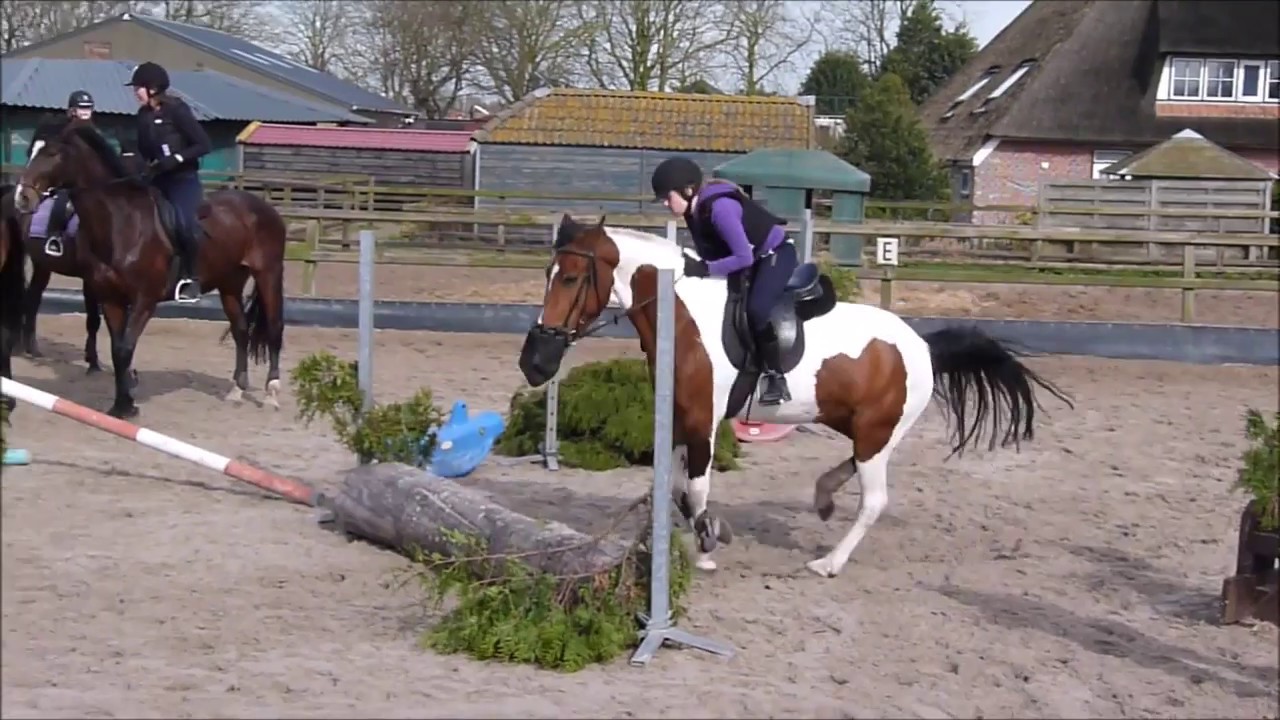 Paardencross training |lara & Coco | Lara's paardenwereld | Manege de ...