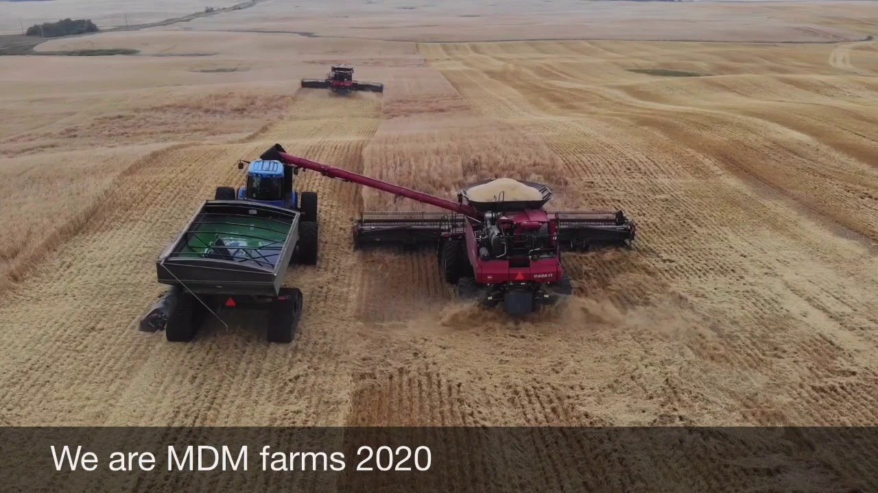 We are MDM farms 2020 part 1 of 4 - YouTube