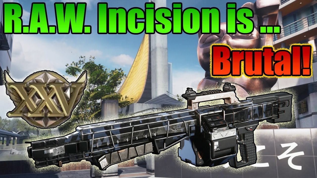 RAW Incision Melts to a Brutal Gun Streak! Infinite Warfare Best LMG ...