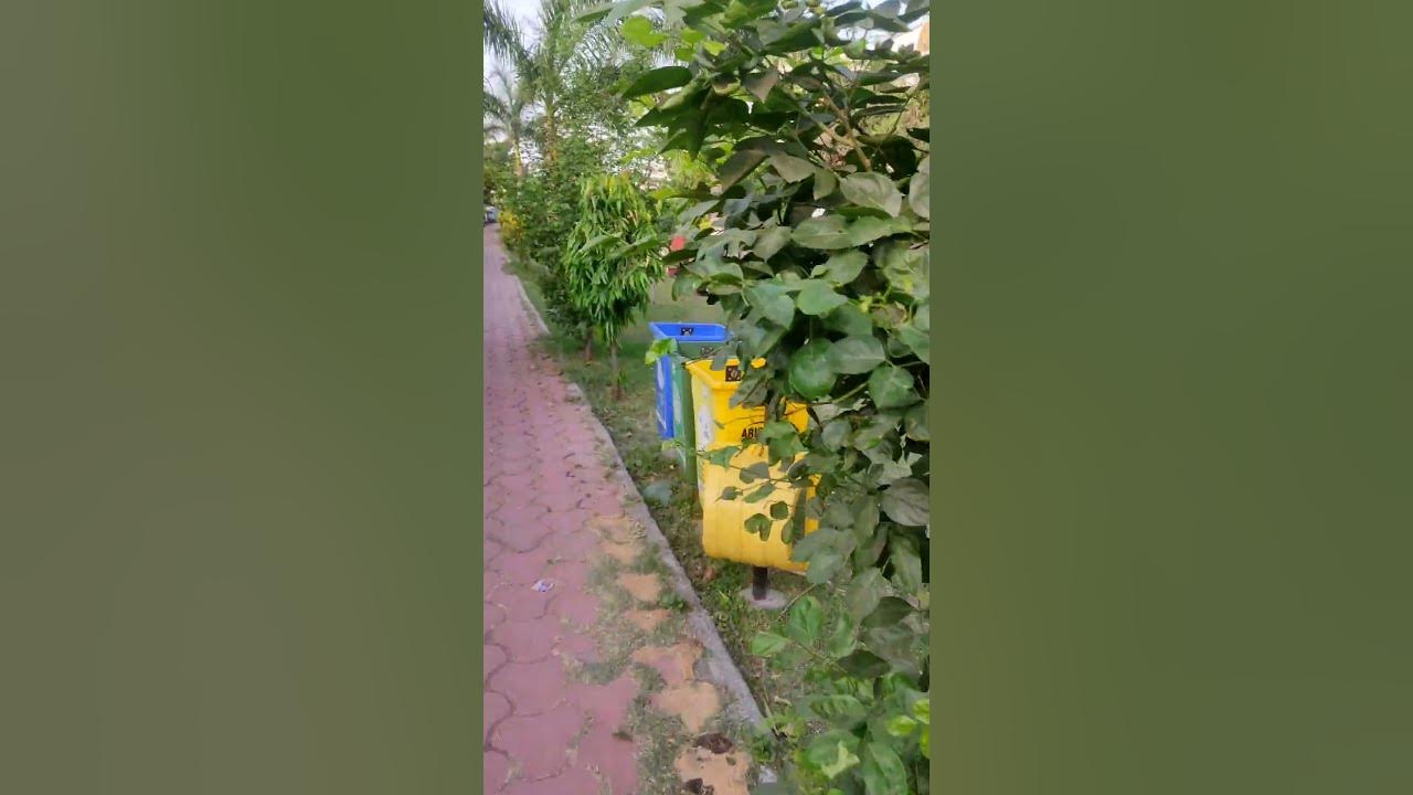 Ashoka garden bhopal - YouTube
