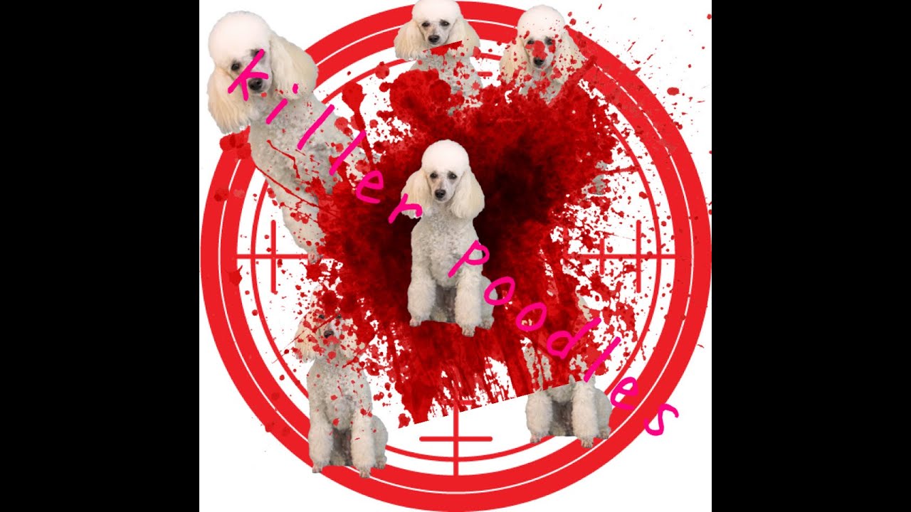 Killer poodles - YouTube