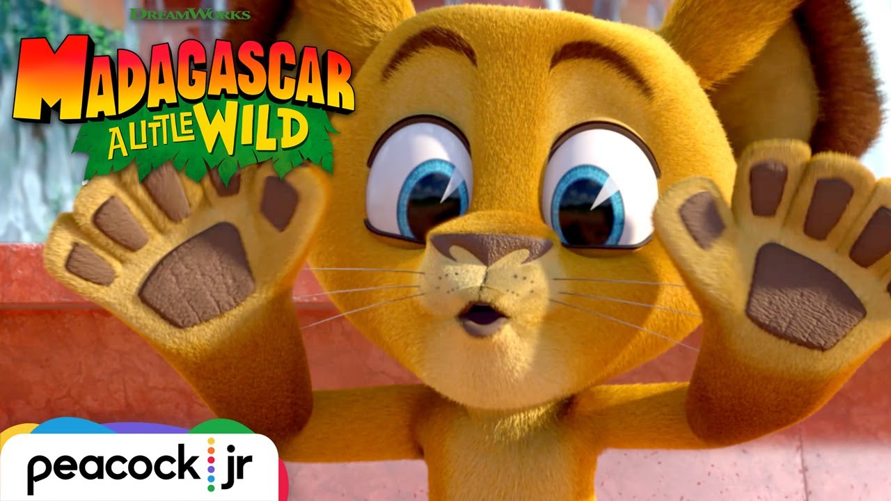 MADAGASCAR A LITTLE WILD | Season 1 Trailer - YouTube
