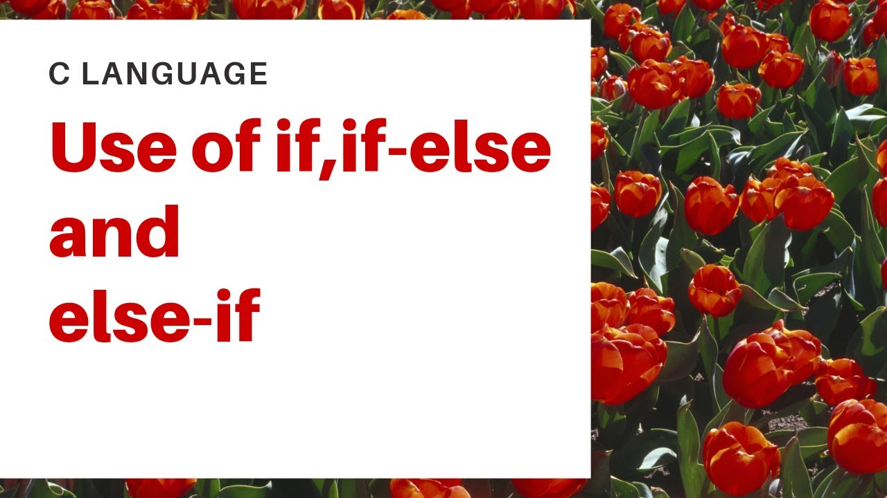 Use Of if, if-else and else-if Statement In C Language - YouTube
