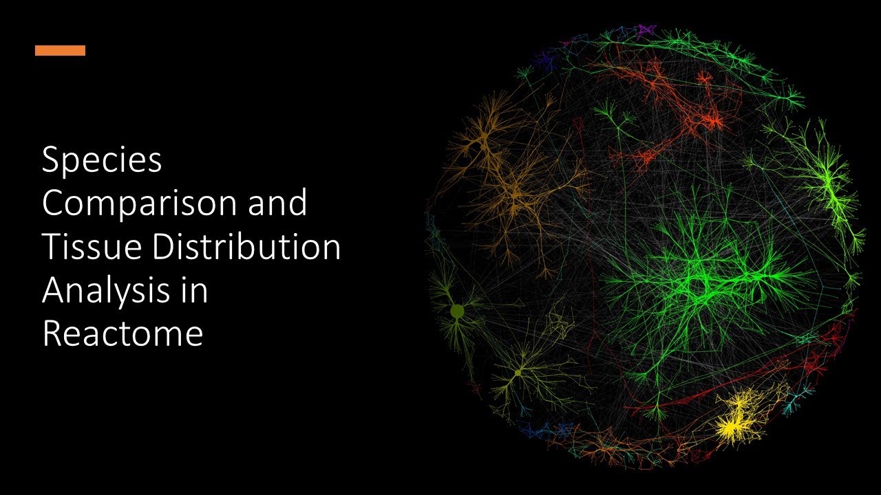 Species Comparison and Tissue Distribution Analysis in Reactome - YouTube