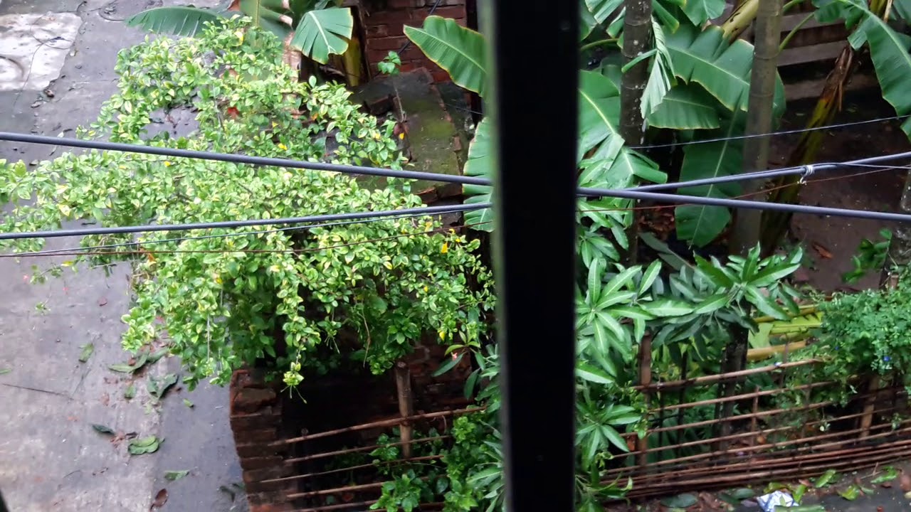 Ampun after effect to our locality. - YouTube