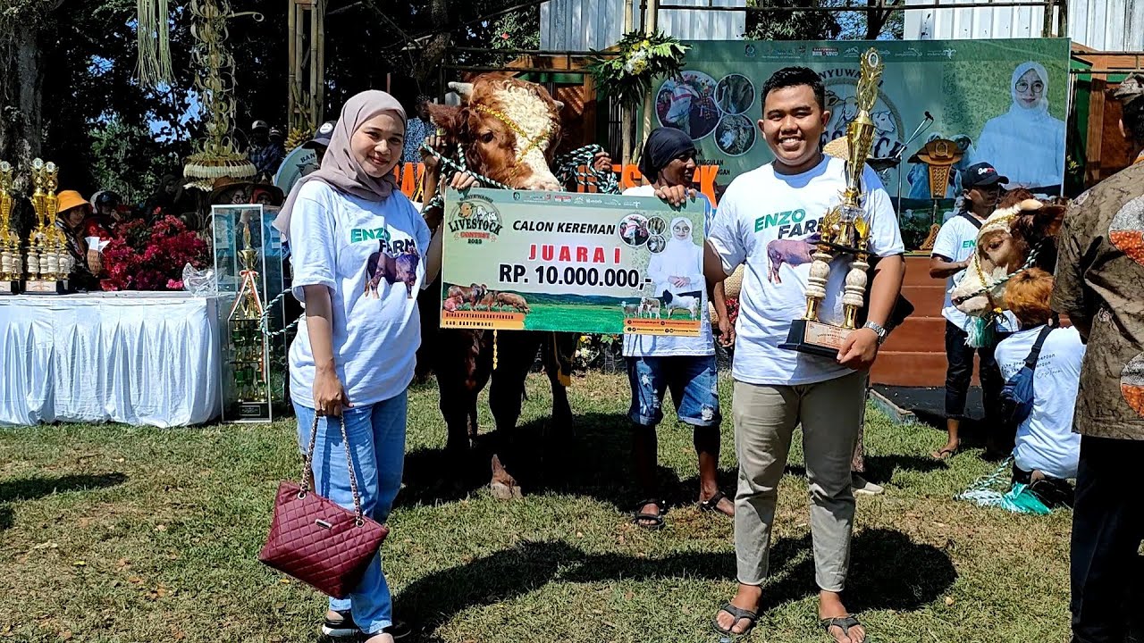 🔴DETIK-DETIK PUTIN JUARA 1 MILIK MAS ADAM ENZO FARM#juara 1 - YouTube