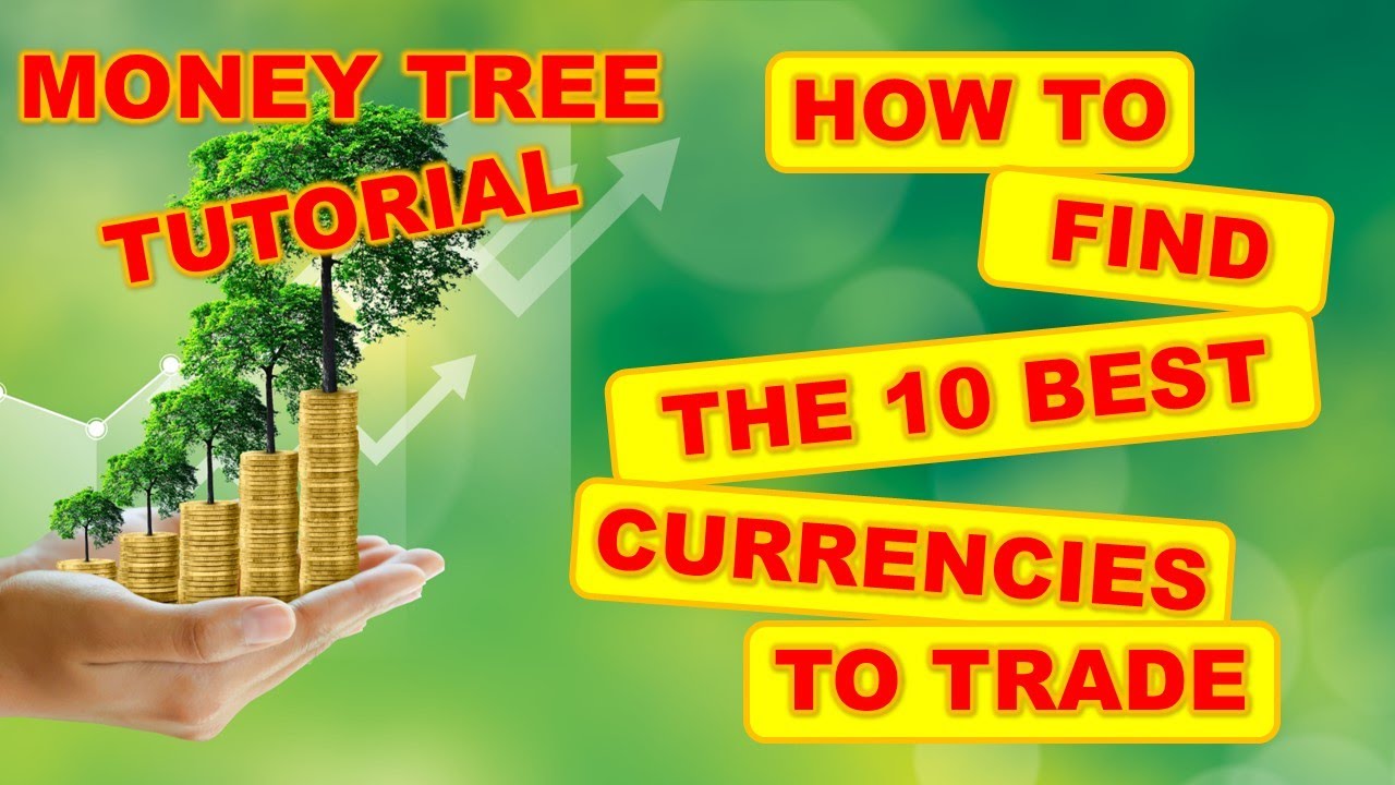 TAP INTO THE 10 TRADING CURRENCIES FOR MAXIMUM PROFIT 🌳 WITH THE MONEY ...