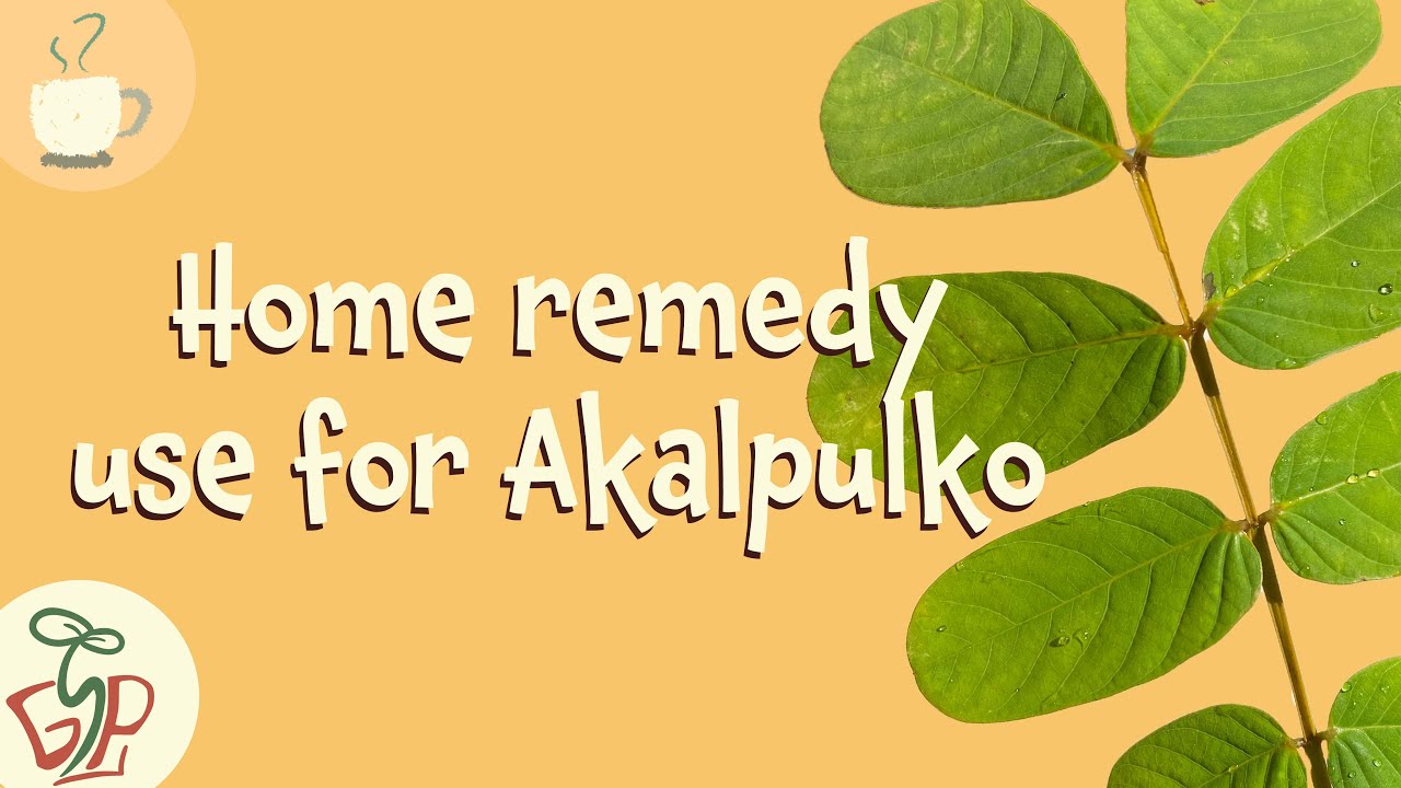 Home remedy use for Akapulko - YouTube