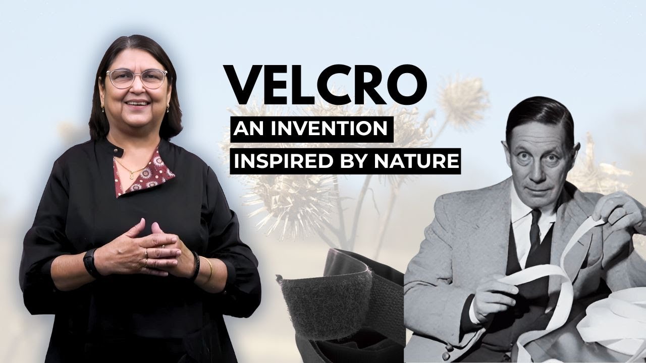Velcro: The Nature-Inspired Invention That Changed Everyday Life 🌿🧵 ...