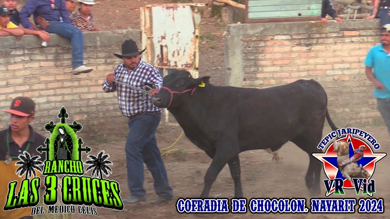 DANDO ESPECTÁCULO CON SUS TOROS Y JINETES!!! RANCHO 3 CRUCES EN ...