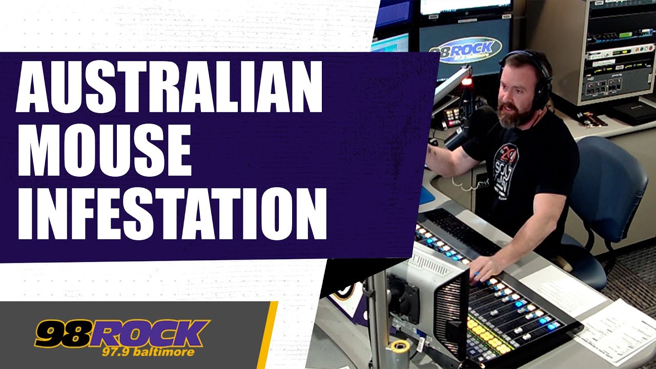 Australian Mouse Infestation - YouTube