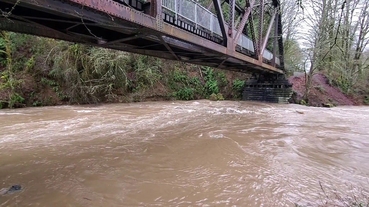 Cedar River Flood 02_06_2020 6000 CFS Cedar River Trail crossing Renton ...