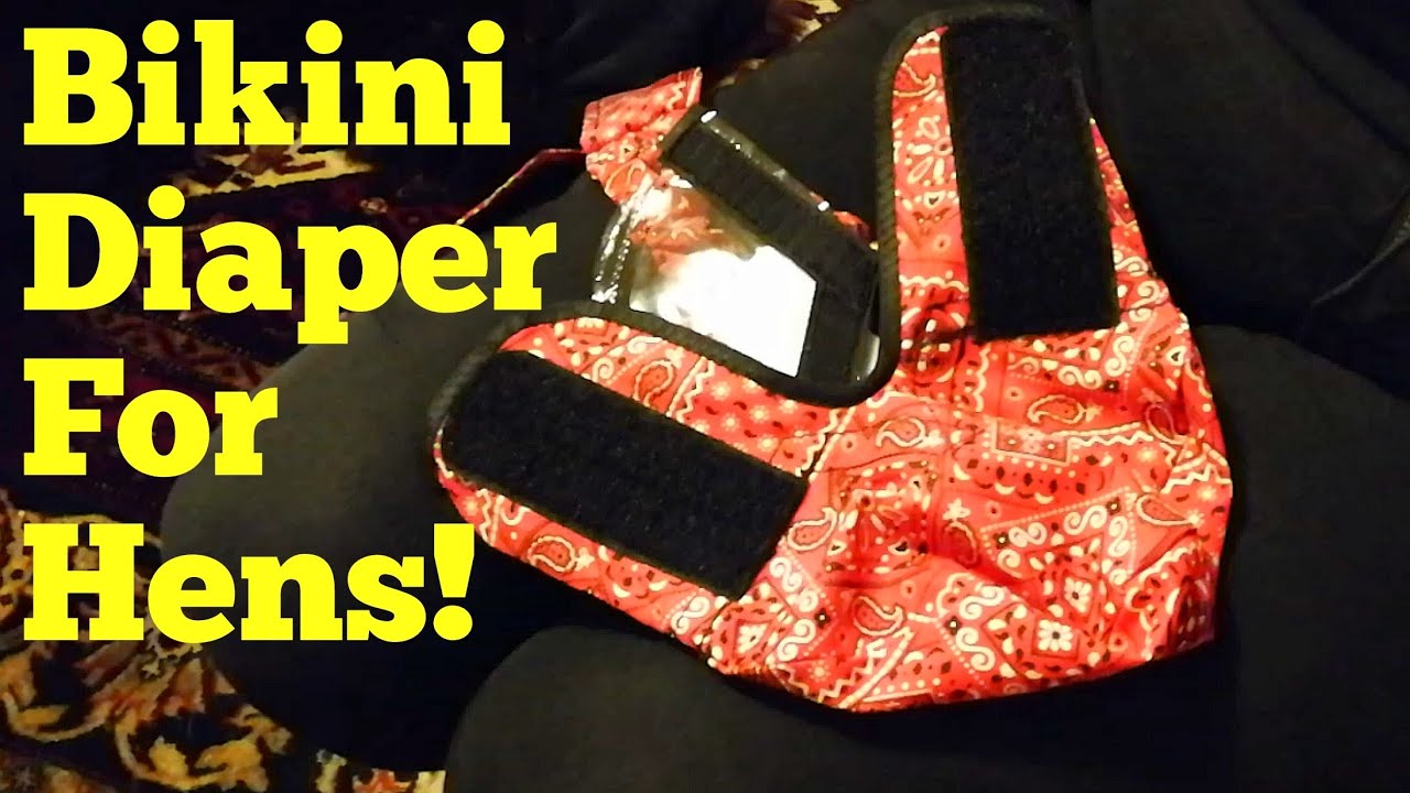 Unboxing "Hen Holster" Bird, Hen And Chicken Diaper Nappy/ Pet ...