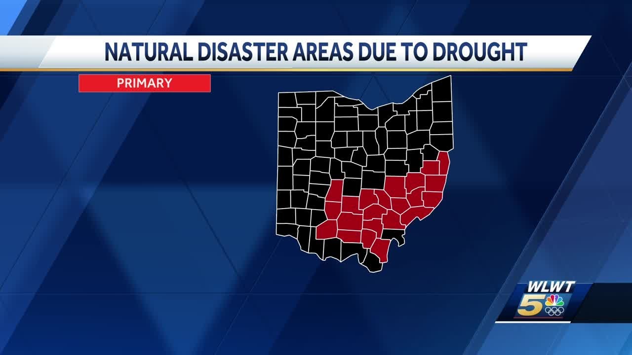 22 Ohio counties declared natural disaster areas due to drought - YouTube