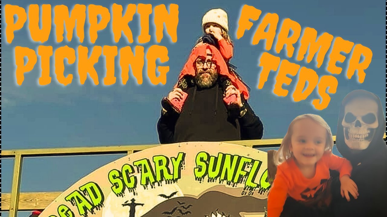 Pumpkin Picking at Farmer Teds Halloween 2023 - YouTube