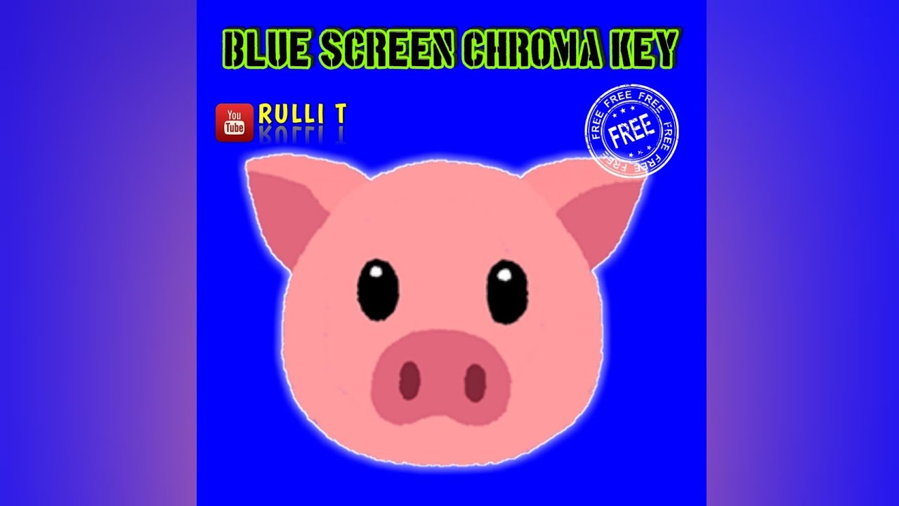 Blue Screen [1080p] - PIG, PORK, SWINE, PIGGY, PIGGY-WIGGY, FACE ...
