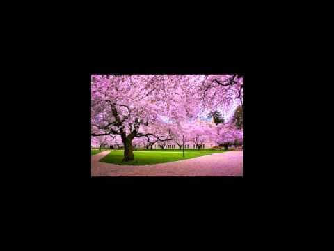 MEMO BORCALI BAHAR GELENDE