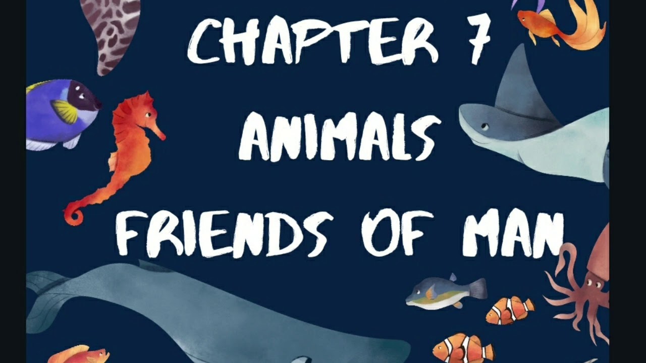Class 5 Ch 7 (knowing about the old relationship of man and animals ...