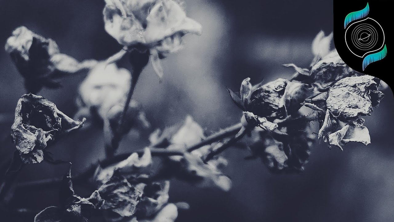IYRE - Without Your Love \\ Liquid DnB \\ - YouTube