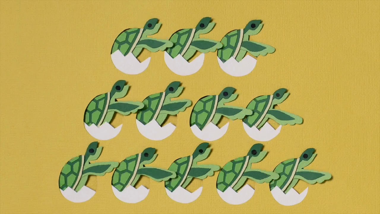 Sesame Street: 12 Turtles - YouTube