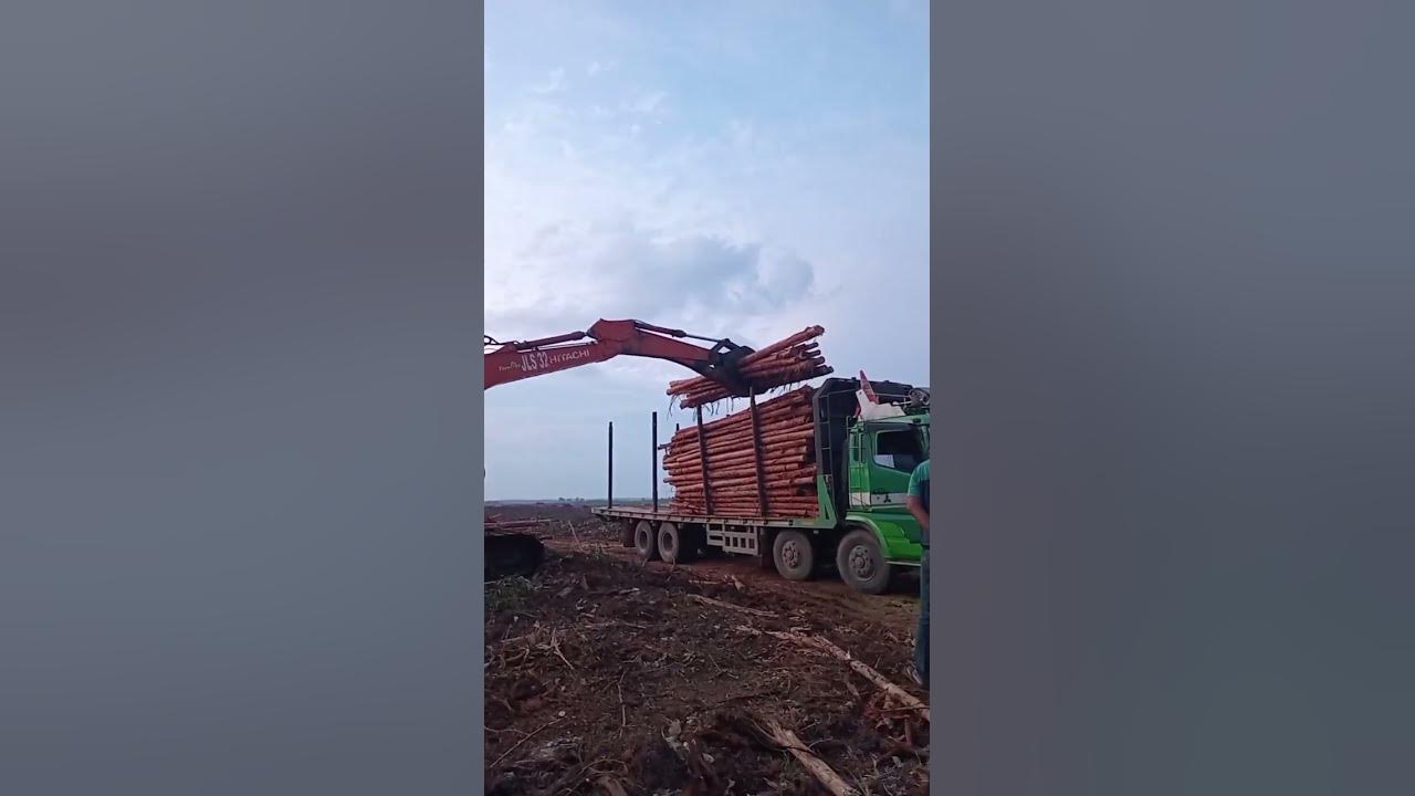 muat kayu #alatberat #hitachi #kayu #mobiltruk #logging #operator #trendingshorts #fyp # ...