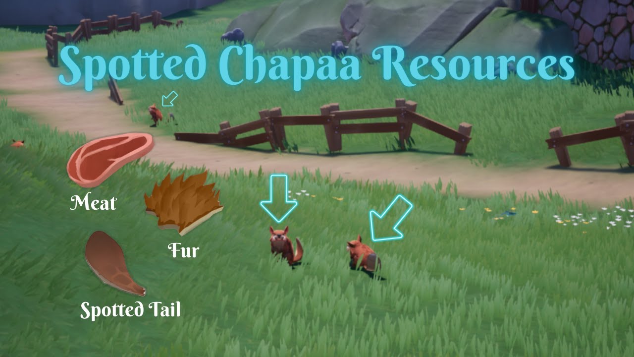 Spotted Chapaa Resources | Palia - YouTube