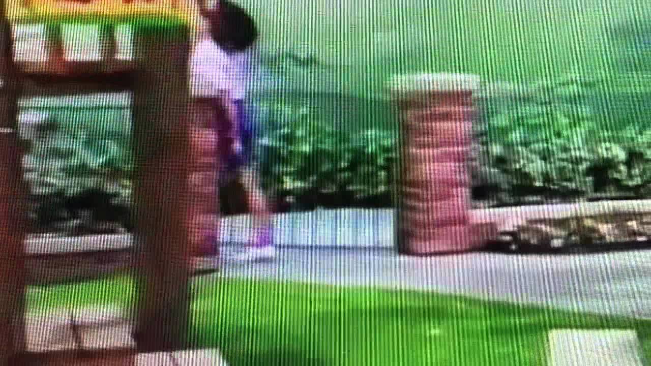 Upcoming Up Next Barney Says Segment (A-Counting We Will Go!) - YouTube