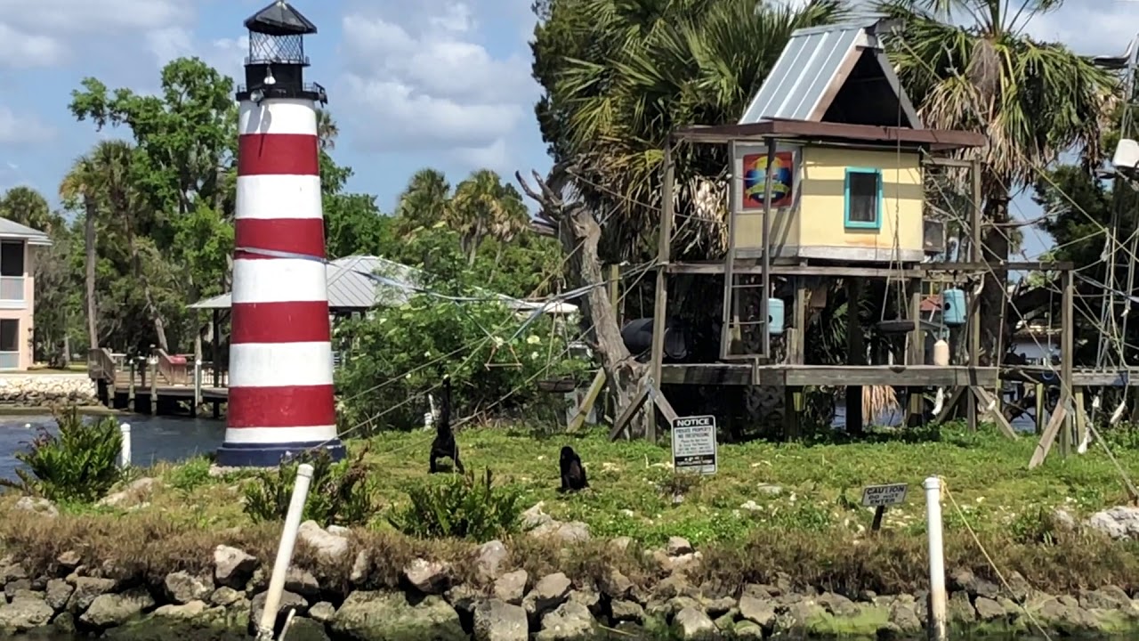 Monkey Island Homosassa, Fl - YouTube