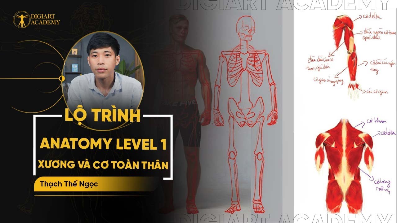 Lộ Trình Khóa ANATOMY LEVEL 1 - XƯƠNG VÀ CƠ TOÀN THÂN - YouTube
