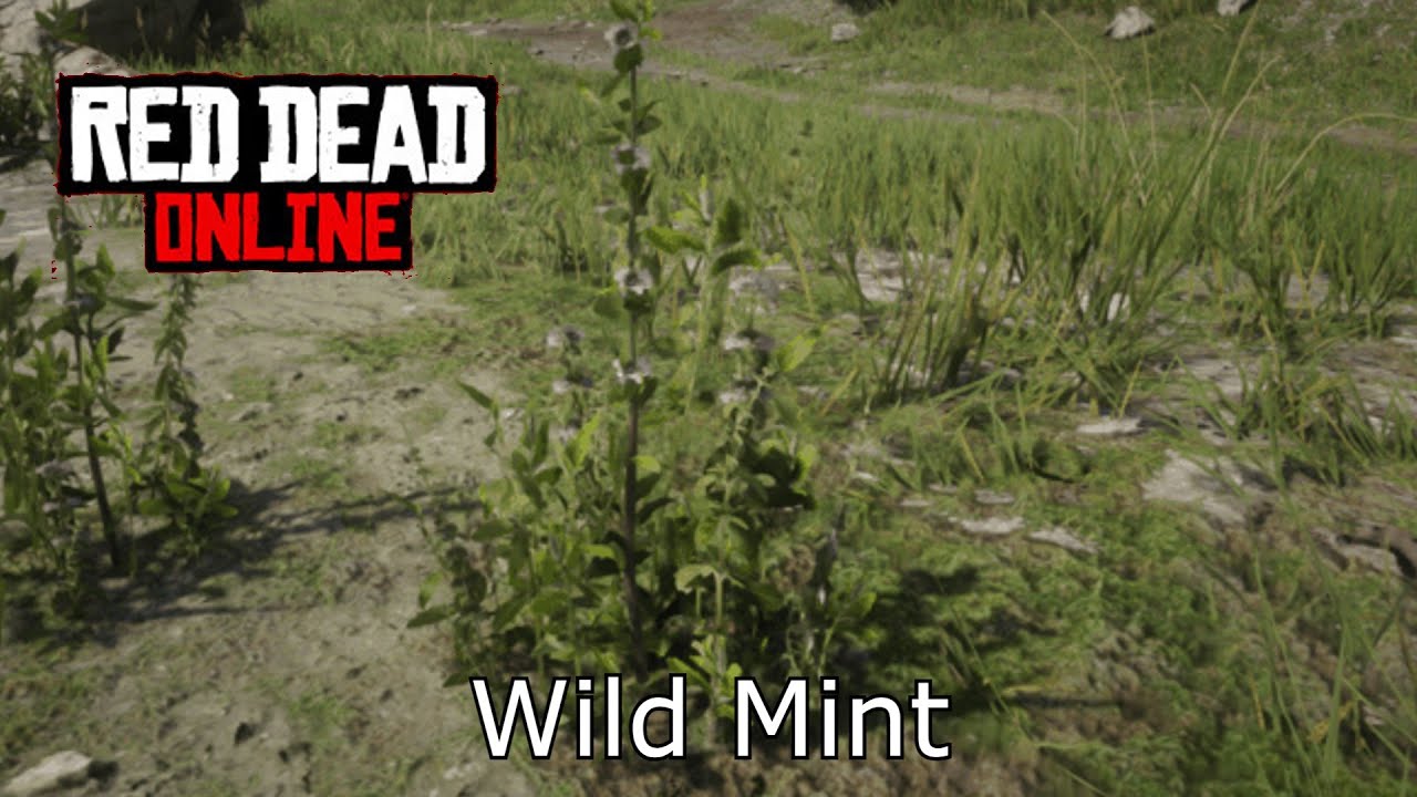 Red Dead Online Wild Mint - YouTube