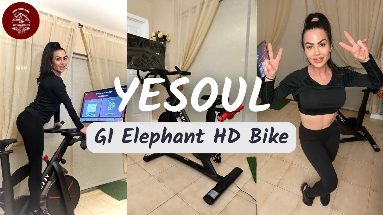 Best Exercise Bike YESOUL G1 Elephant Reviews | Affordable Gym Studio ...